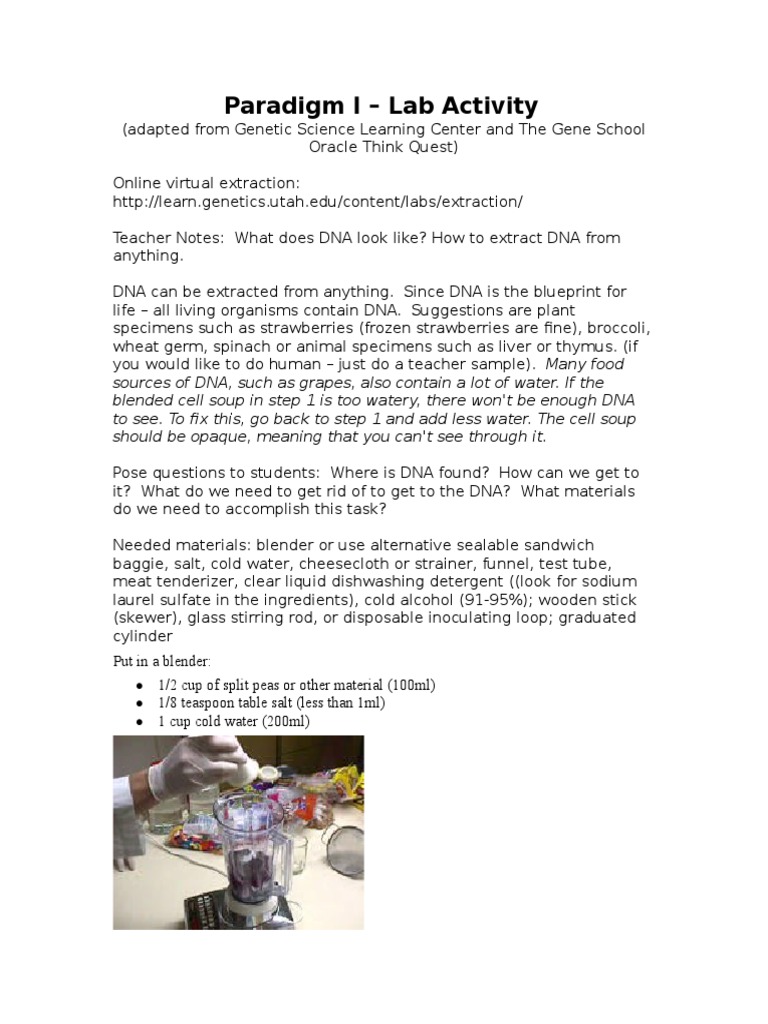 8.2 Lab Activity DNA Extraction | PDF | Dna | Ethanol