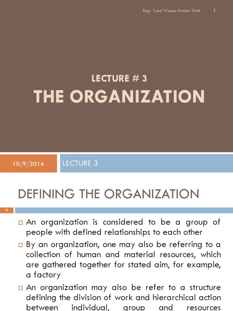 The Organization: Lecture # 3 | PDF | Organizational Structure | Hierarchy
