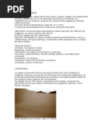 LITOSOLES | PDF | Suelo | Roca (geología)