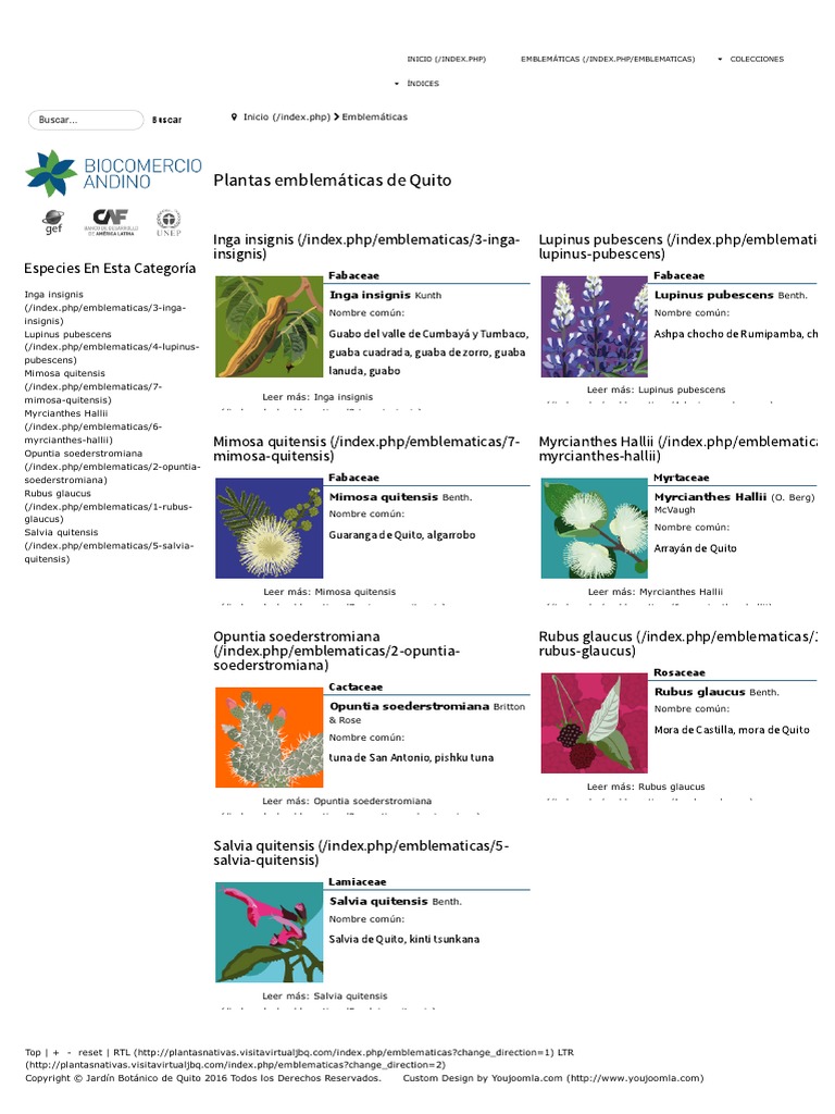 Plantas Emblemáticas de Quito PDF | PDF