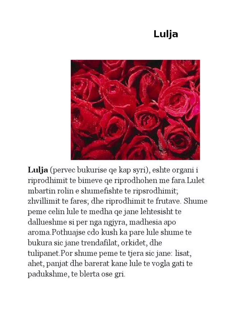 Lulja Donkiiii | PDF