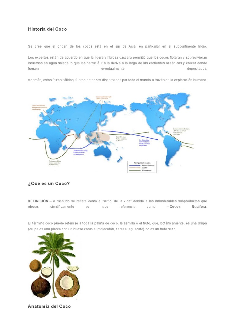 Origen e Historia del Coco | PDF | Coco | Arecaceae