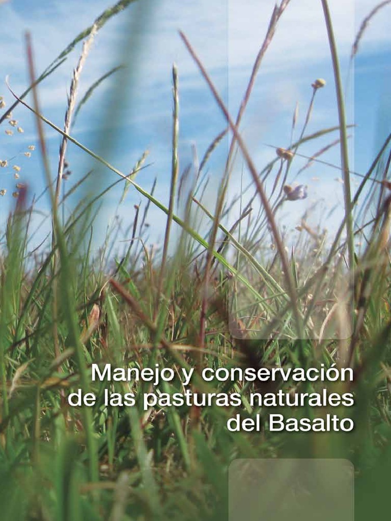 Manejo de pasturas naturales del Basalto | PDF | Oveja | Suelo