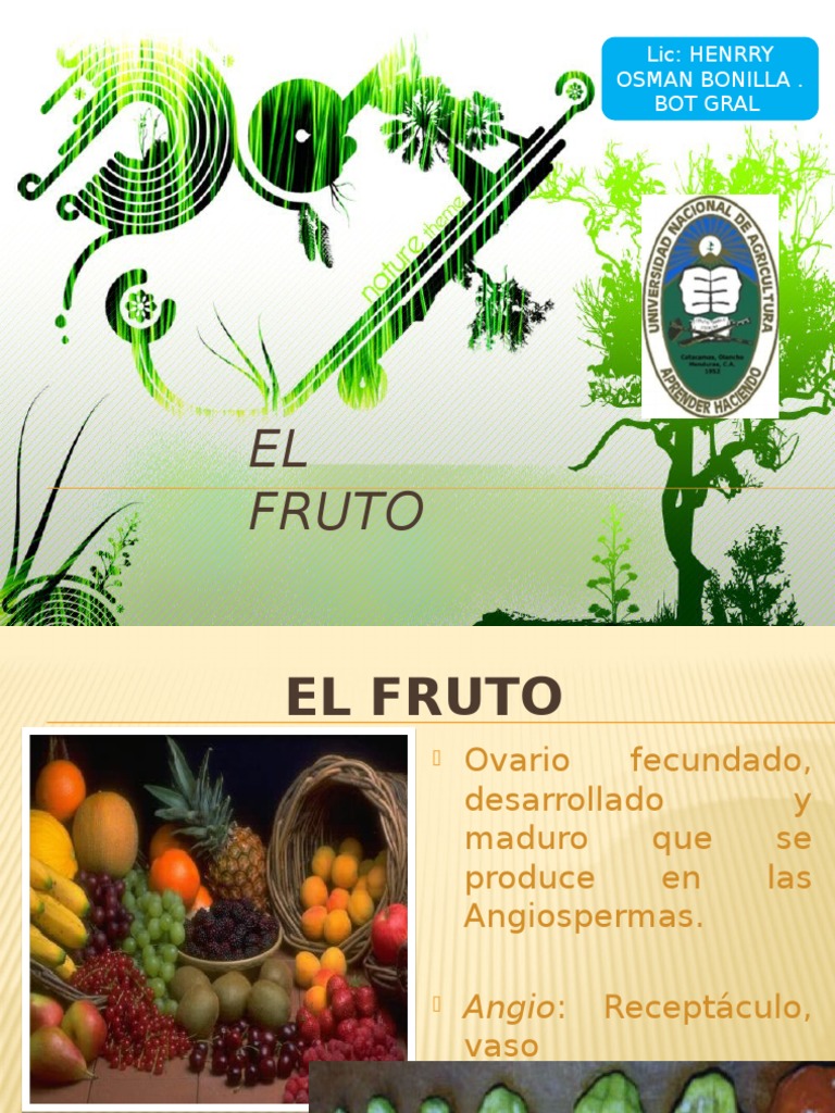 Fruto y Semilla