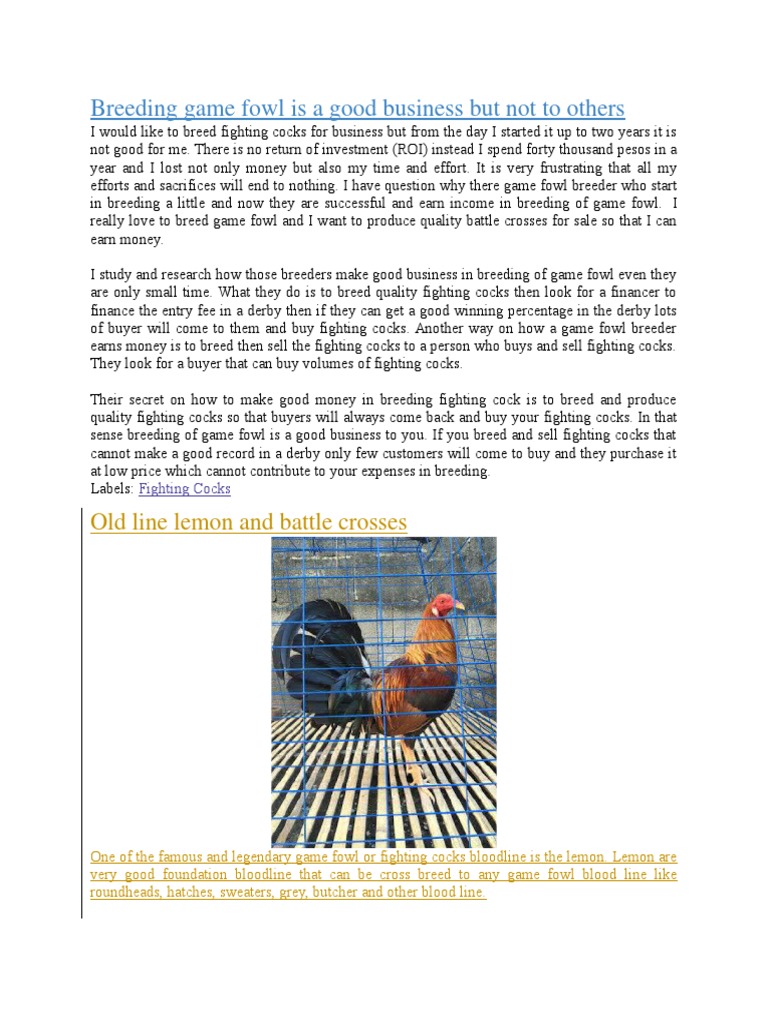 The Secrets of Successful Gamefowl Breeding: Maintaining Bloodlines ...