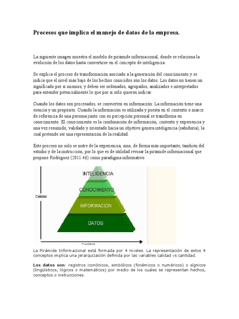 La Siguiente Imagen Muestra El Modelo de Pirámide Informacional | PDF ...