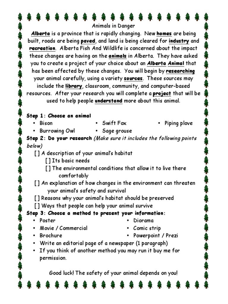 Teacher Handout | PDF