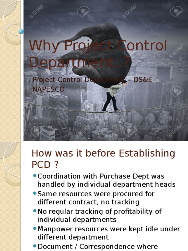 Why Project Control Department | PDF