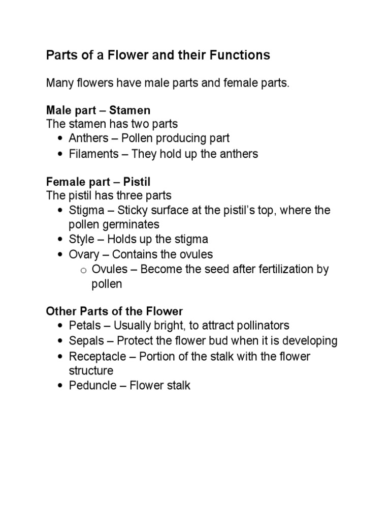 Flower Parts And Functions Reproduction In Plants Pollination And
