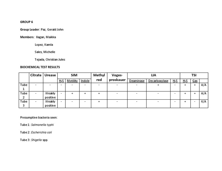GROUP 6 MT1031-Micro Biochem Results | PDF
