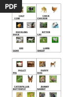 Animals Chart | PDF