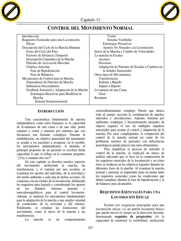 Capítulo 11 Motor Control | PDF | Pie | Cerebelo