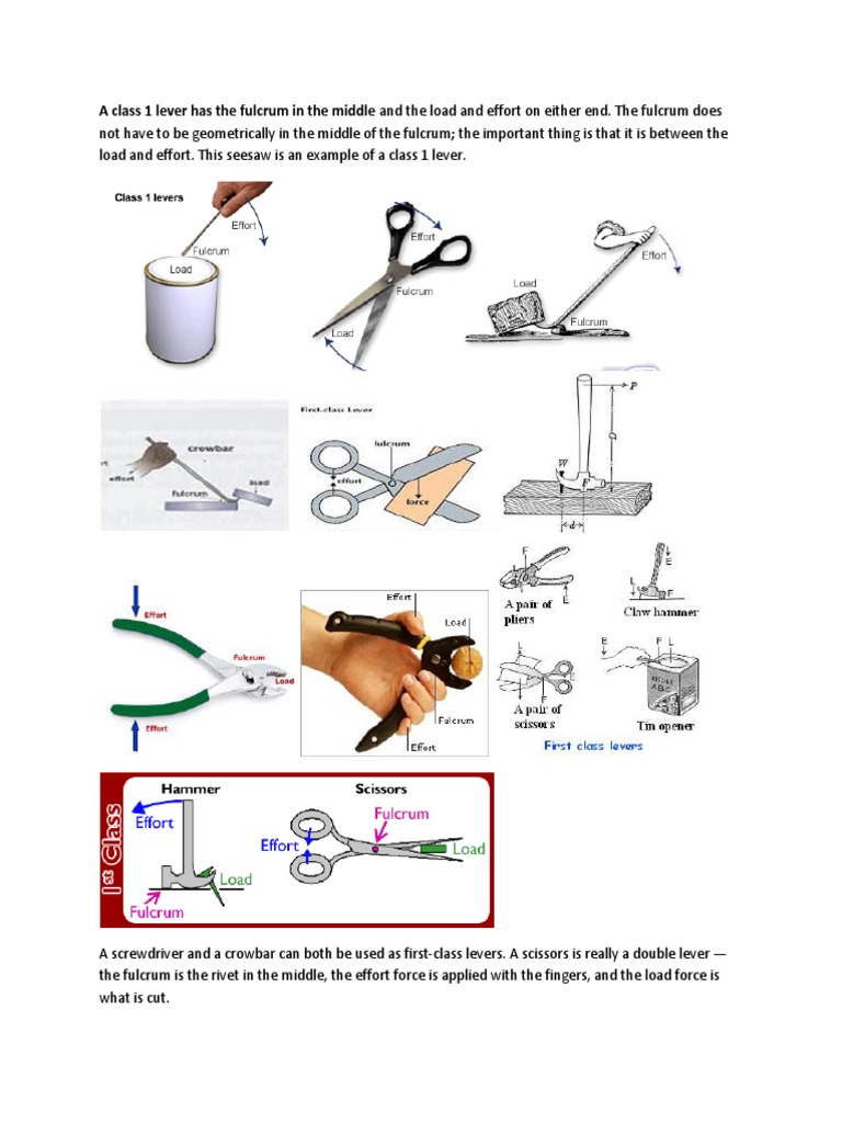 Types of Levers | PDF | Lever | Human Anatomy