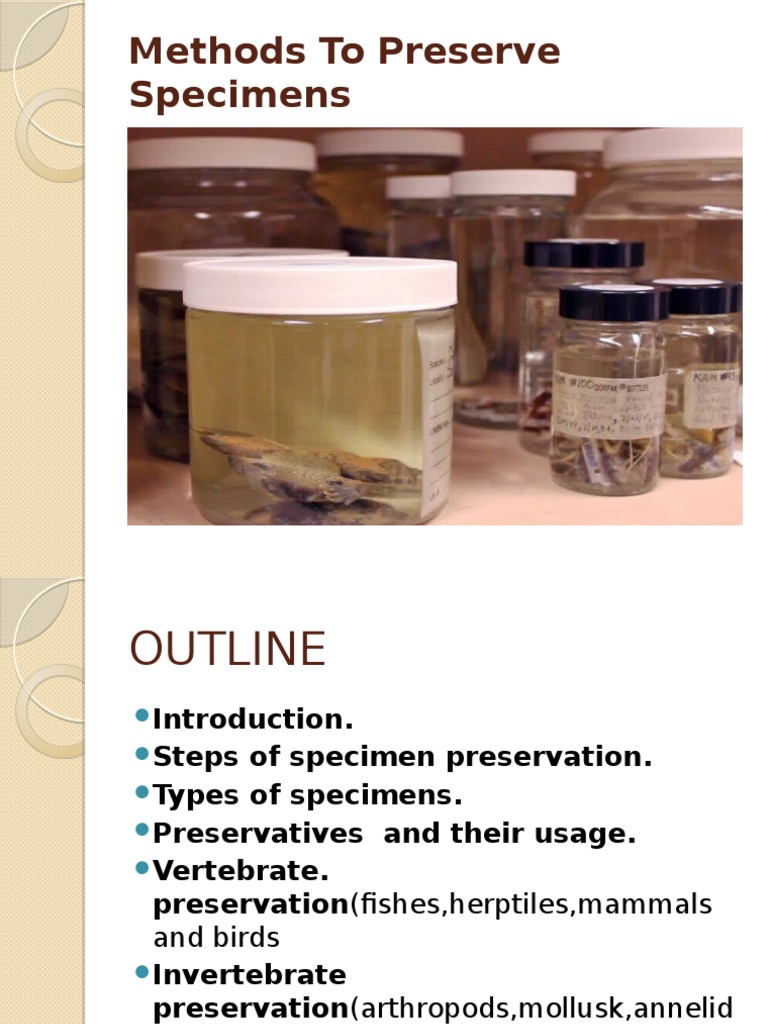 Methods To Preserve Specimens | PDF | Formaldehyde | Ethanol