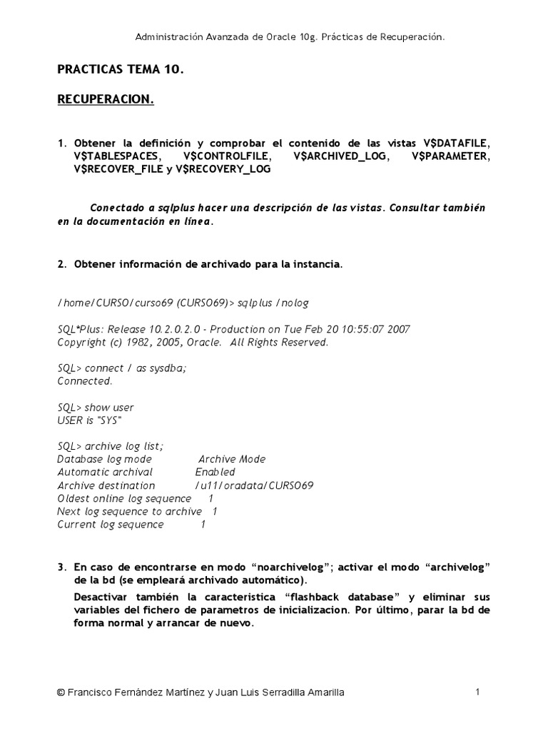 Administración Avanzada de Oracle 10g. Prácticas de Recuperación. | PDF ...