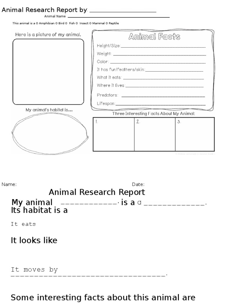 Animal Research Report by | PDF