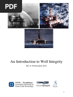 Well Integrity Standards and Guidelines | PDF | Casing (Borehole) | Oil ...