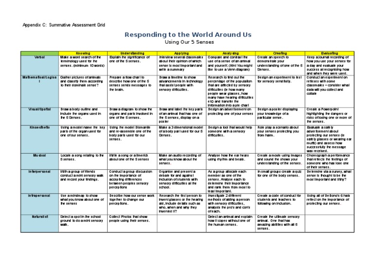 edu5ldp assessment matrix | Senses | Perception