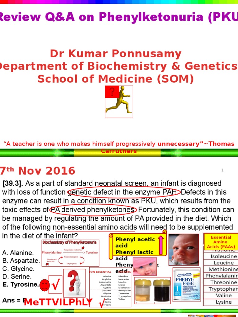 PKU: Genetic Causes and Management | PDF