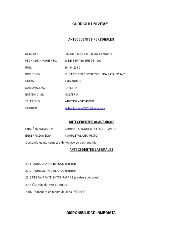 CV Gabriel.. | PDF