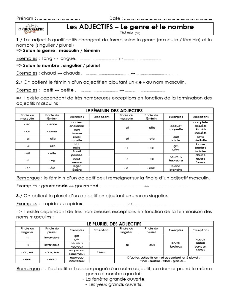 Adjectifs : Genre et Nombre en Français | PDF