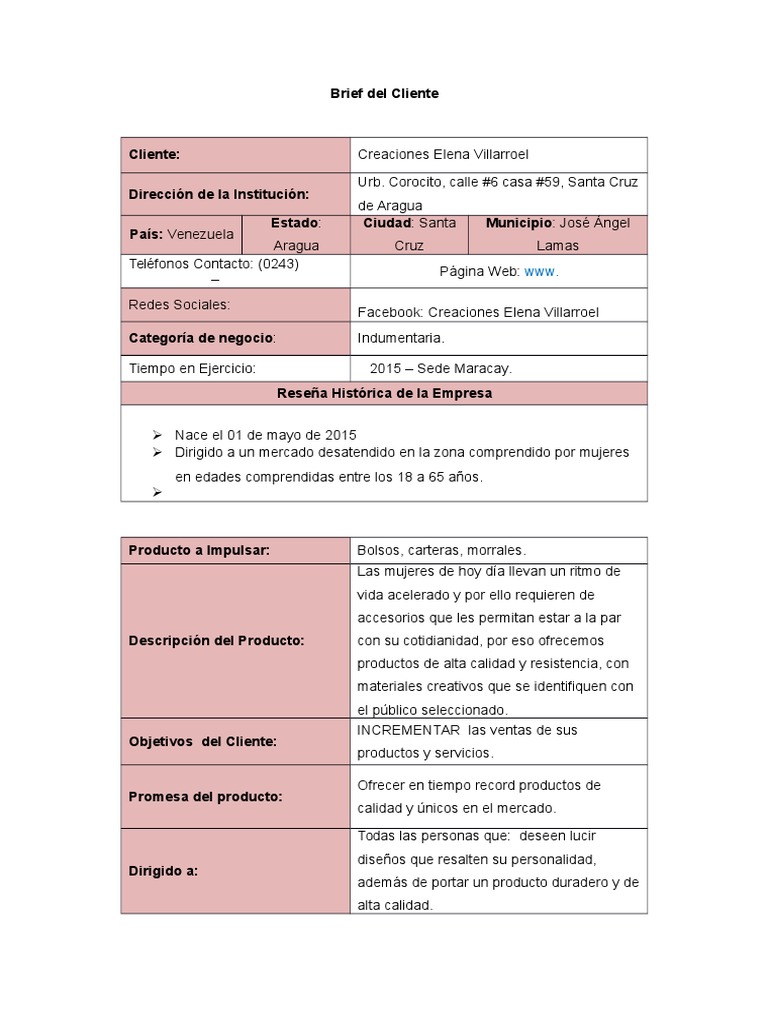 Brief Del Cliente - Ficha Tecnica | PDF