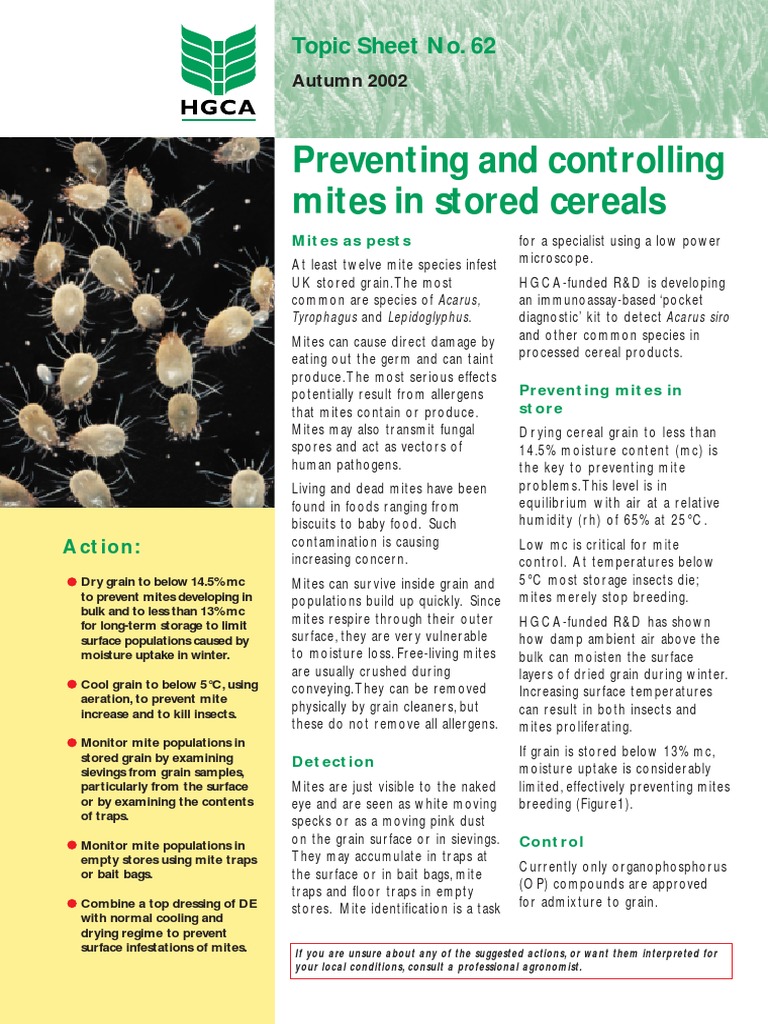 Ts62 Preventing and Controlling Mites in Stored Cereals | PDF | Dust ...