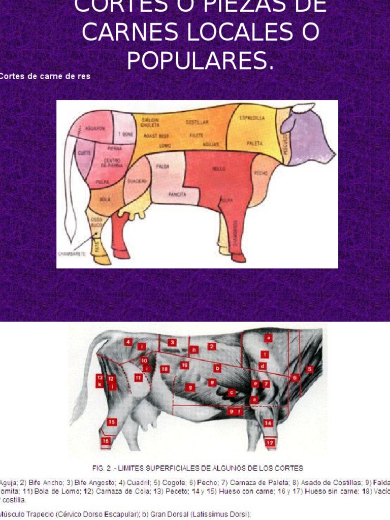 Cortesopiezasdecarneslocalesop 110506173634 Phpapp01 | PDF | Carne de ...