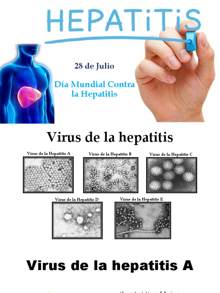 Hepatitis Abcde | Hepatitis | Hepatitis B