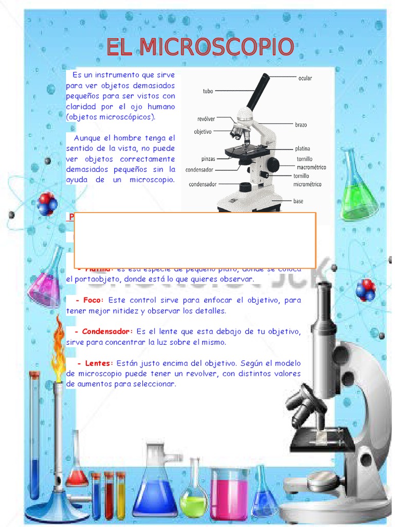 El Microscopio y Sus Partes | Ojo humano | Microscopio | Prueba ...
