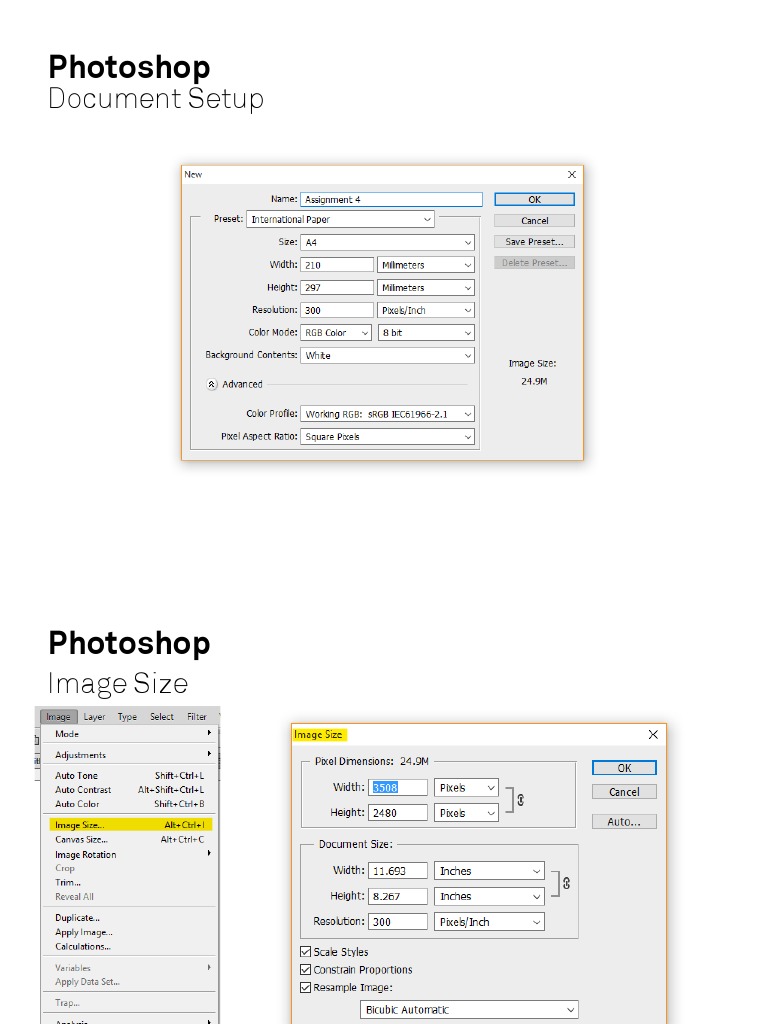 Laypout Photoshop | PDF