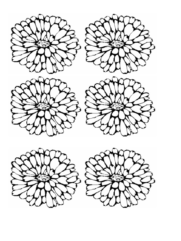 Sabloane Crizanteme | PDF
