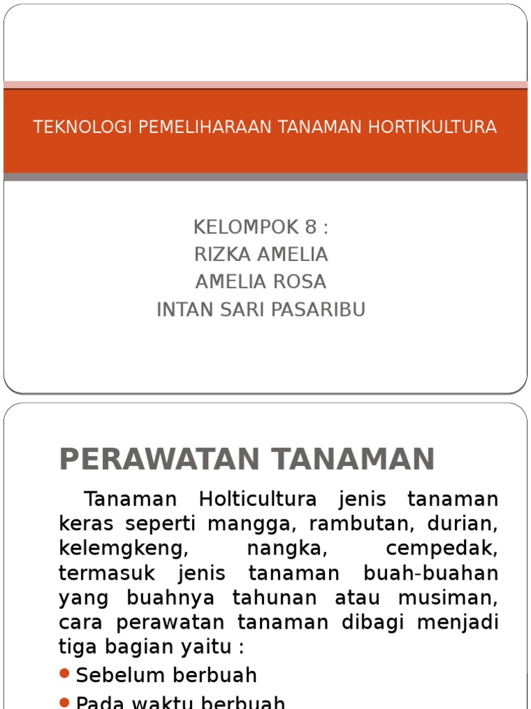 Teknologi Pemeliharaan Tanaman Hortikultura | PDF | Sains & Matematika | Teknologi & Rekayasa