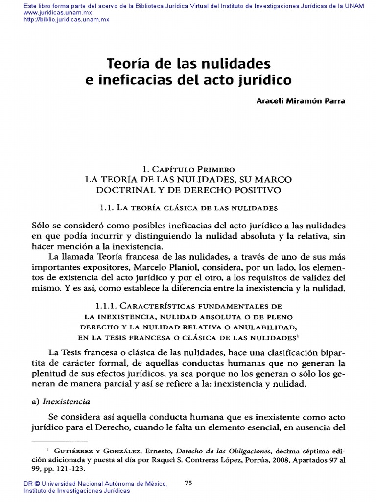 Teoría de Las Nulidades e Ineficacias Del Acto Jurídico | PDF | Nulo (ley) | Matrimonio