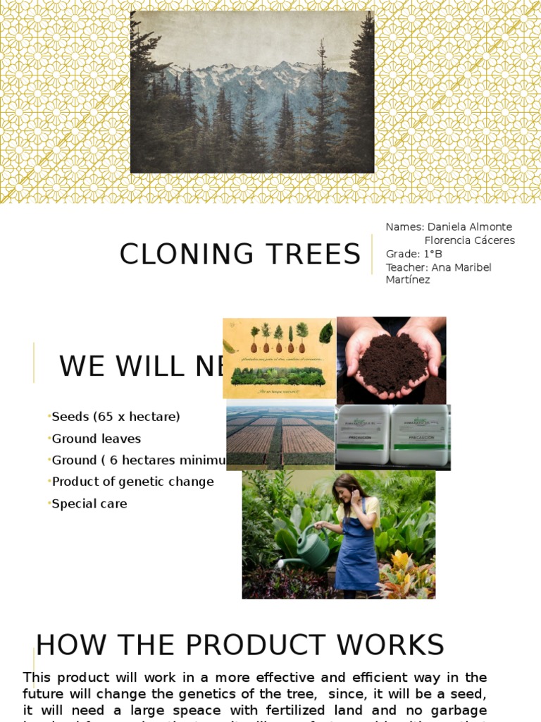 Cloning Trees: Names: Daniela Almonte Florencia Cáceres Grade: 1°B ...