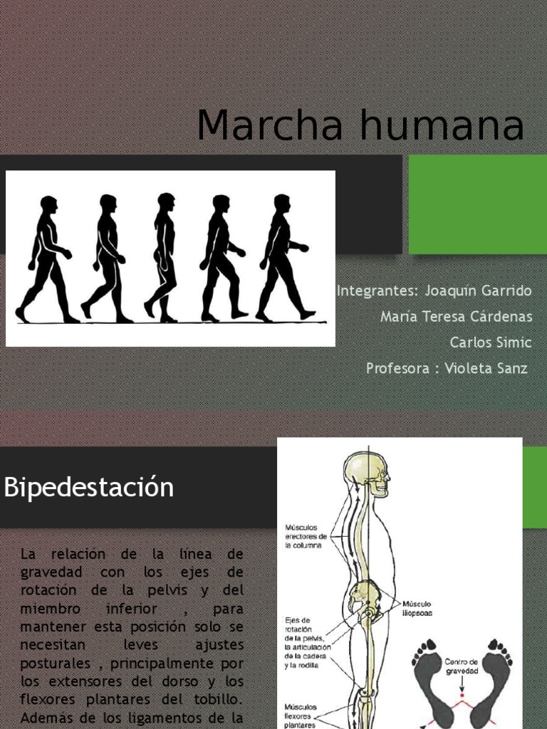 Marcha Humana | PDF
