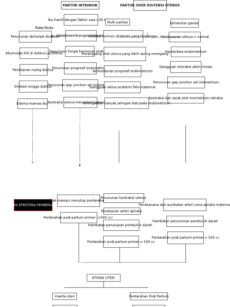 Pathway Atonia Uteri Kasus | PDF