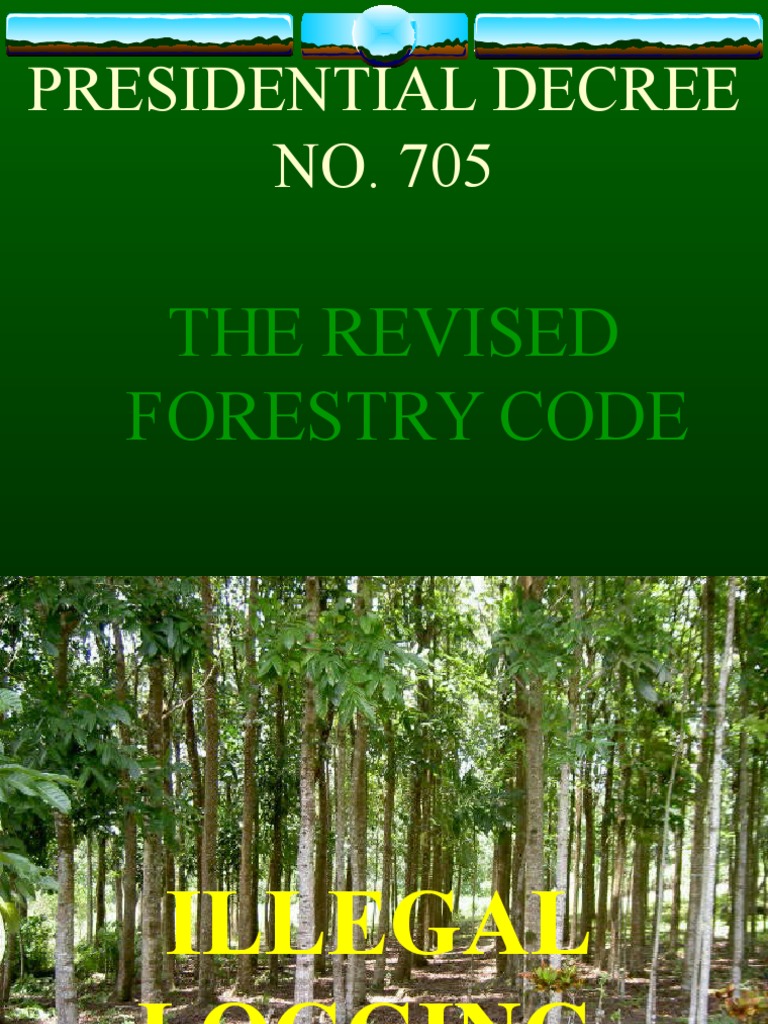 PD 705 Presentation | PDF | Logging | Lumber