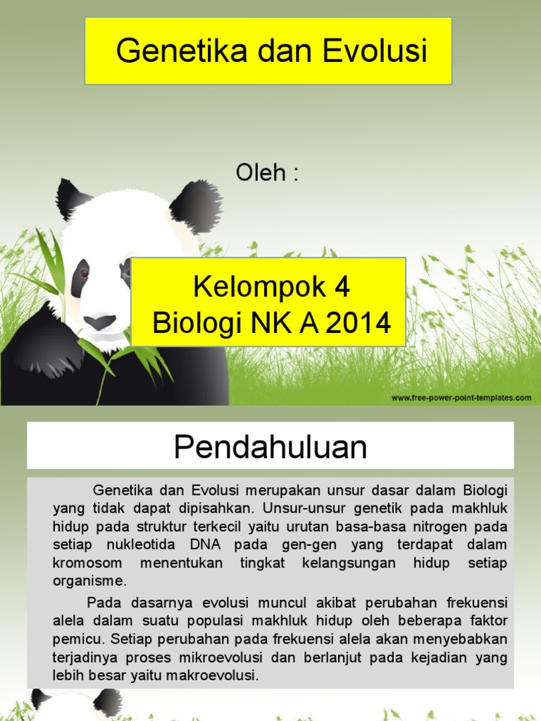 Evolusi Dan Genetika | PDF
