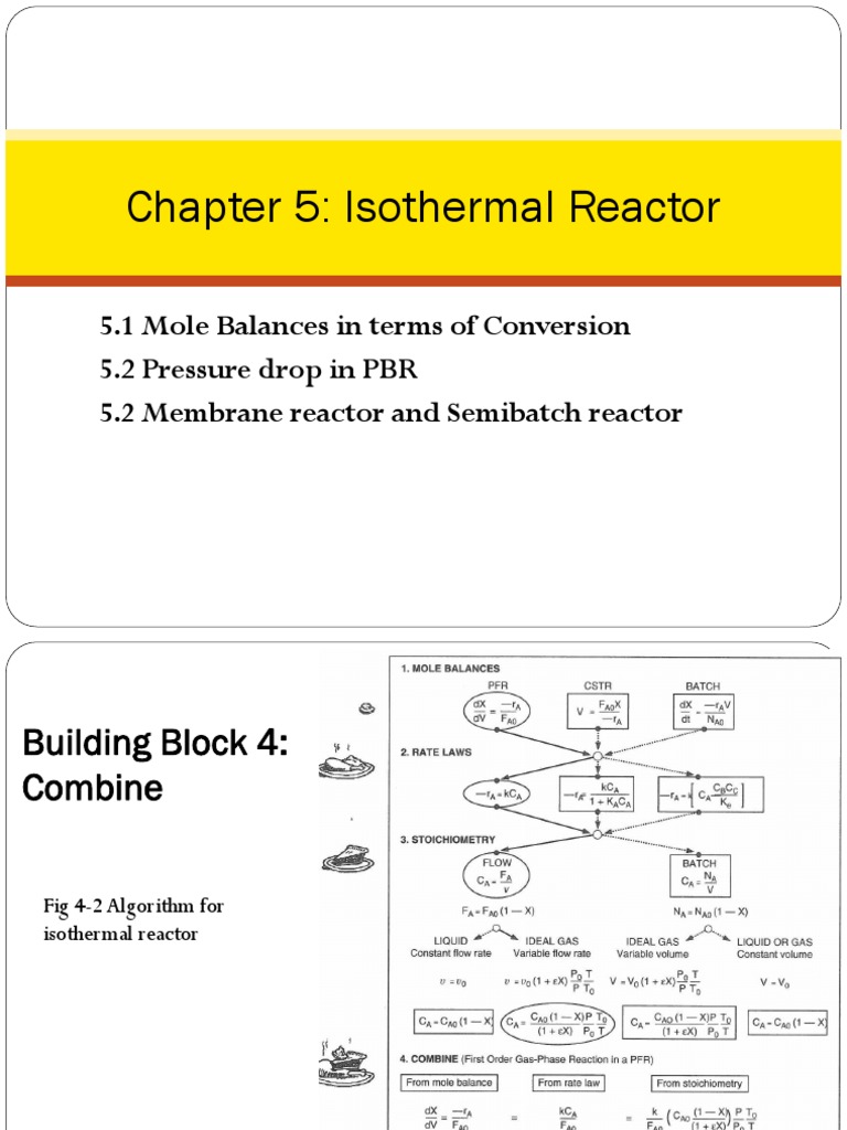 Isothermal Reactor | PDF | Stoichiometry | Chemical Reactor