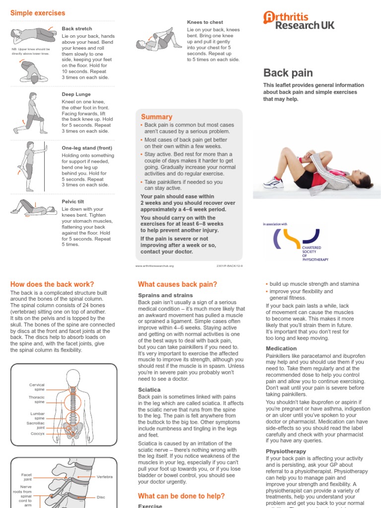 Back Pain Pamphlet | PDF | Vertebral Column | Back Pain