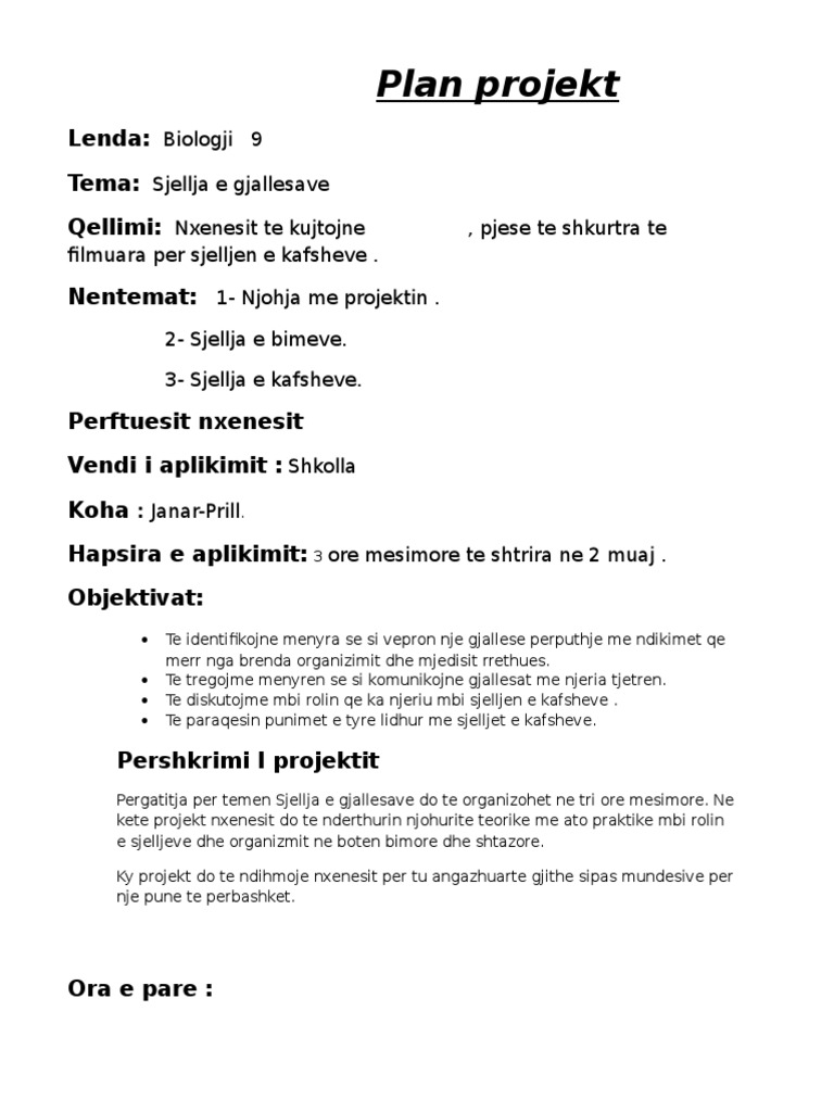 Plan Projekt | PDF