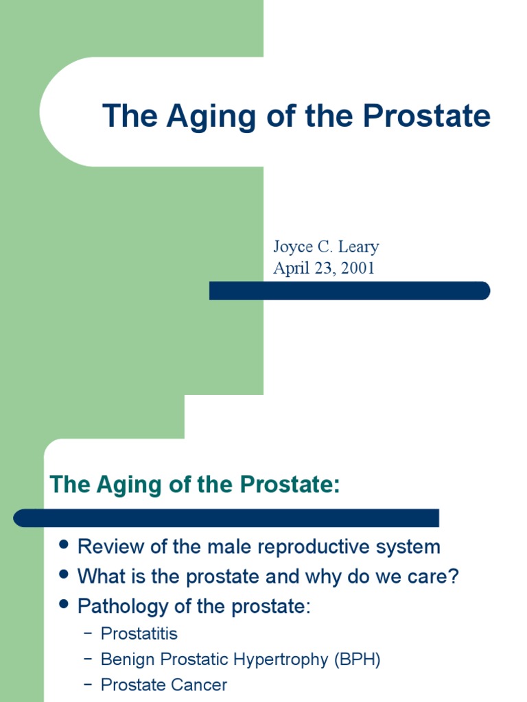 The Aging Male Reproductive System: A Comprehensive Review of the ...