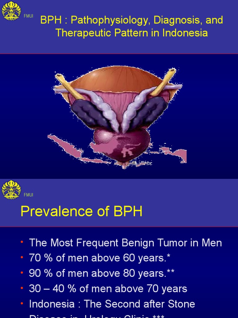 13 - TERBARU - BPH Pathophysiology Diagnosis and Therapeutic (Bu | PDF | Prostate Specific ...