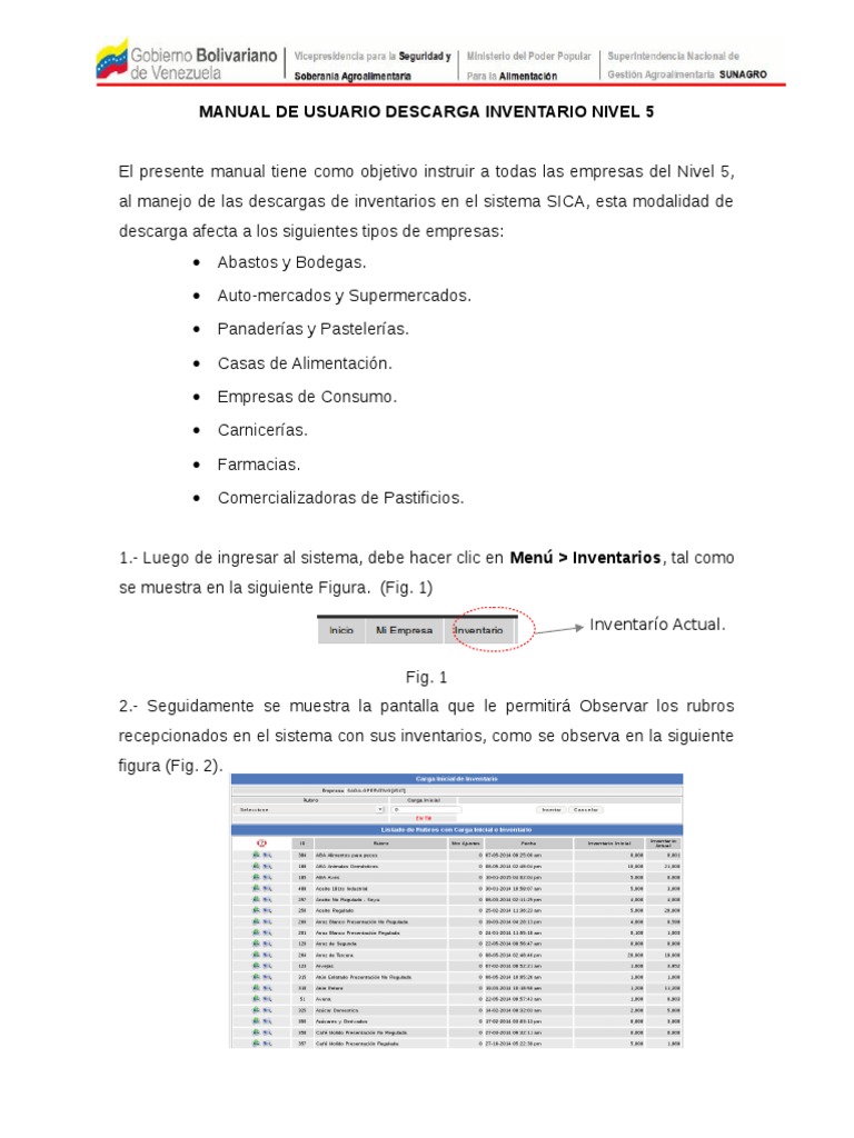 Manual Descarga Inventario | PDF