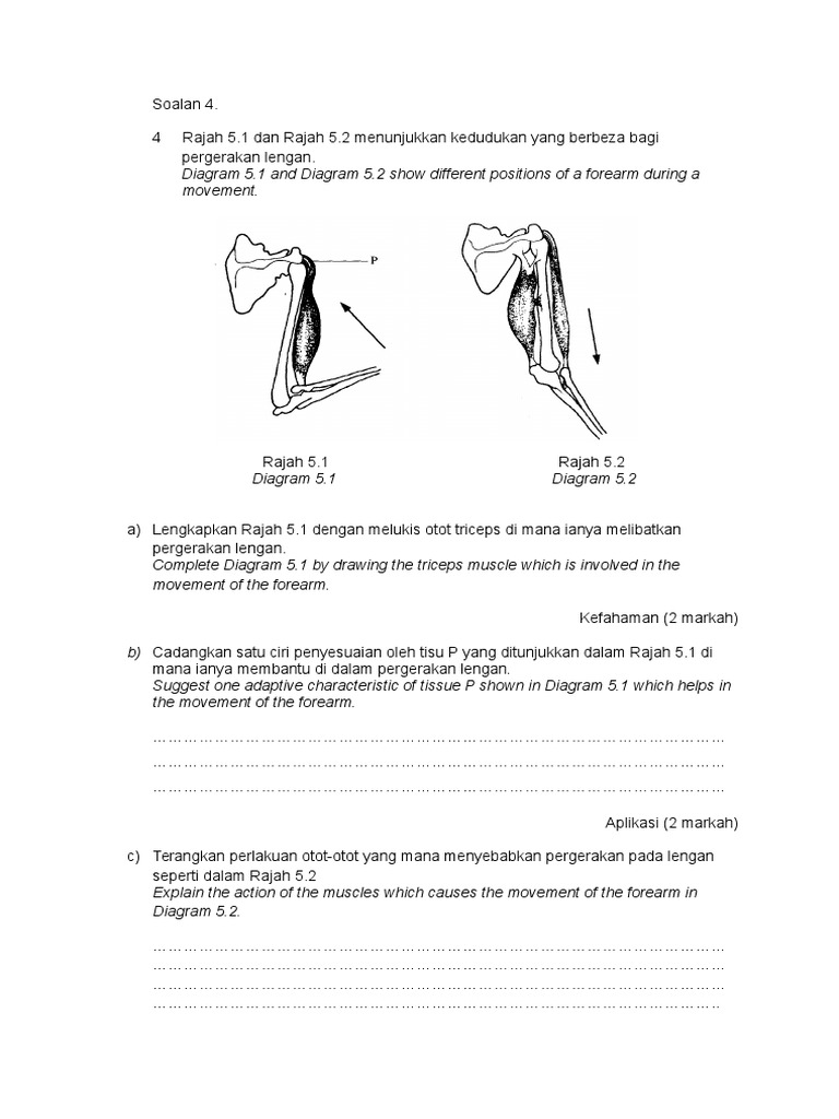 Contoh Soalan 4 | PDF