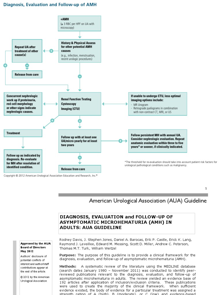 AUA Asymptomatic Microhematuria - Algorithm (2012) | PDF | Medical ...
