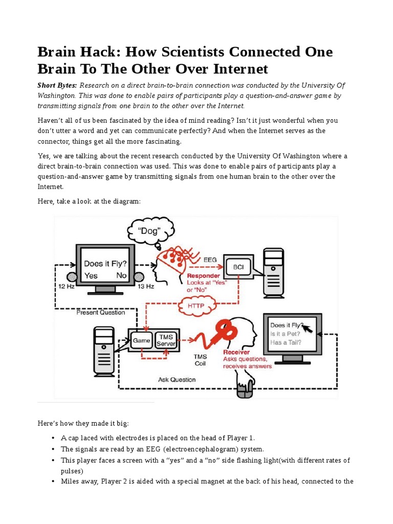 Brain Hack How Scientists Connected One Brain To The Other Over ...