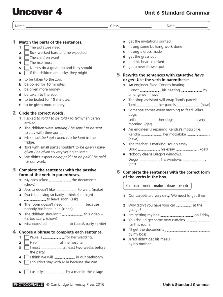 Unit 6 Grammar Standard | PDF