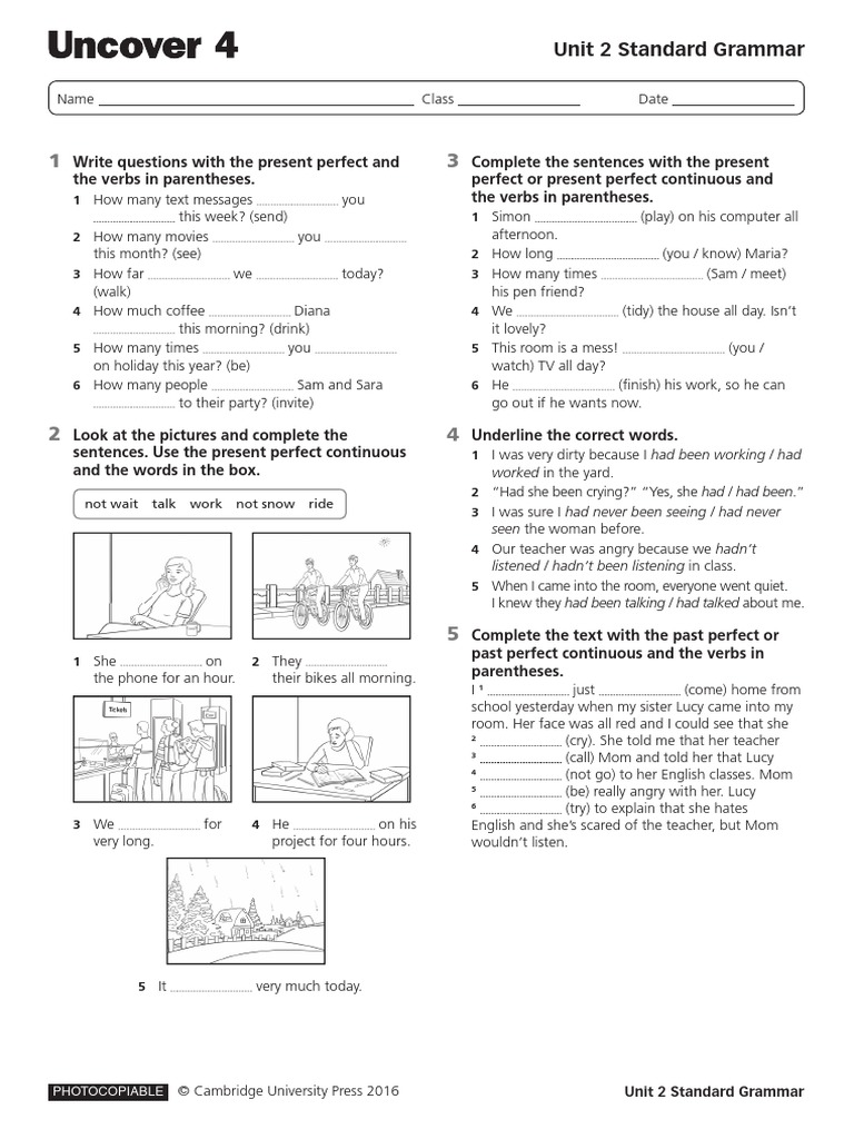 Unit 2 Grammar Standard | PDF